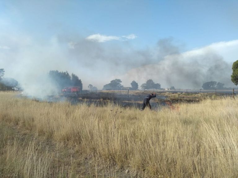 Múltiples salidas de bomberos para sofocar incendios | El Orden de Pringles