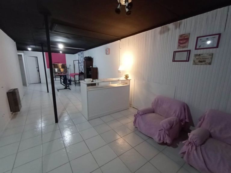 Pelitos de Amor, con local propio | El Orden de Pringles